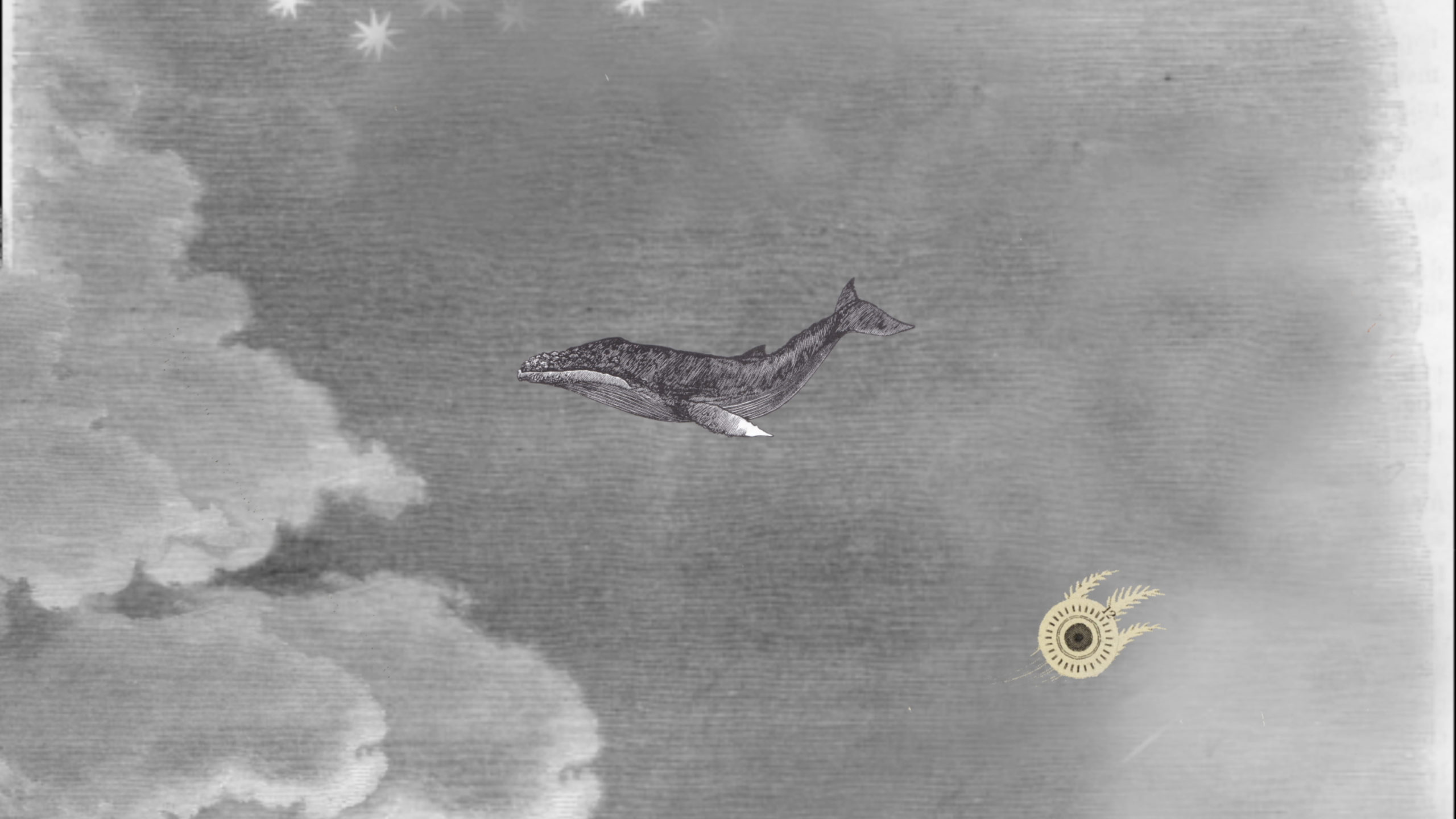 WWW {the whale who wasn't} - Flat Journal